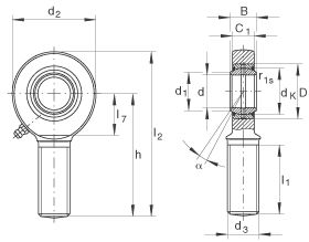 Rotule à visser diamètre 20 mm