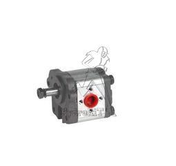 Pompe MF 3534940M91 3534941M91 Sauer Turolla 111.20.205.00 - SNP2/11 S ...