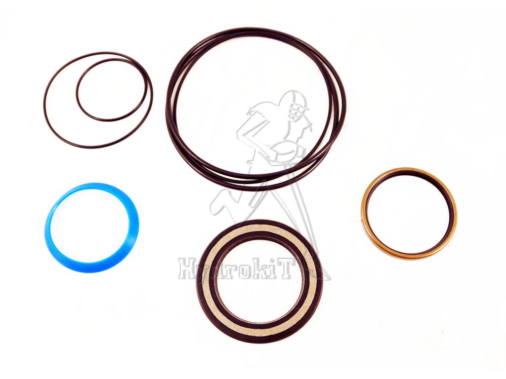 Seal kit for Danfoss Motor type OMT 151B0113