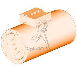 Rotating cylinder HELAC L10--25- 360° 2825 Nm - with valve