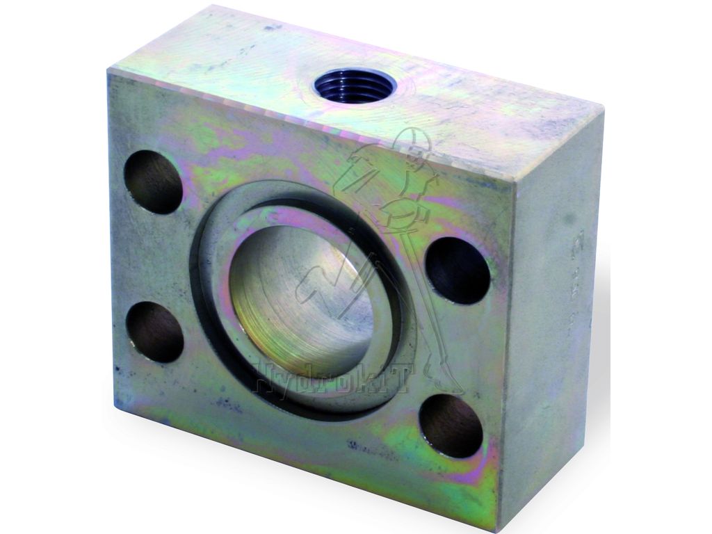 "Hydraulic block 1"" SAE 3000 psi with outlet 1/4 BSP"